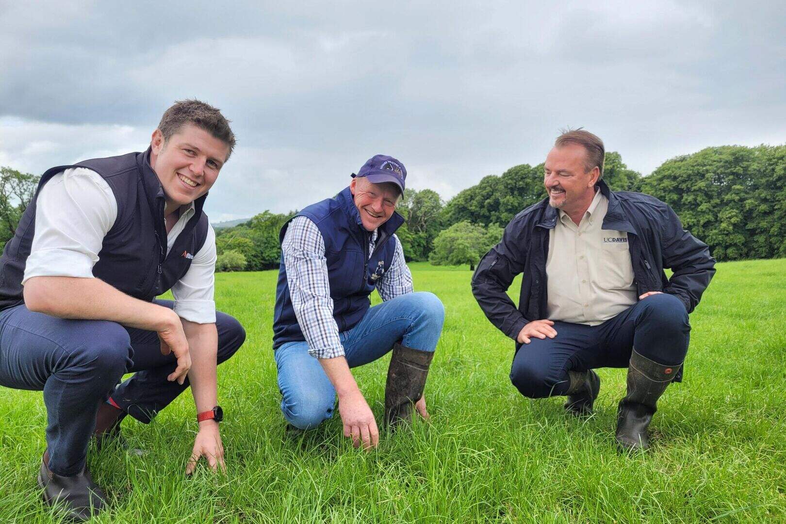 Peter Hynes: Why we are stitching red clover into our silage swards ...