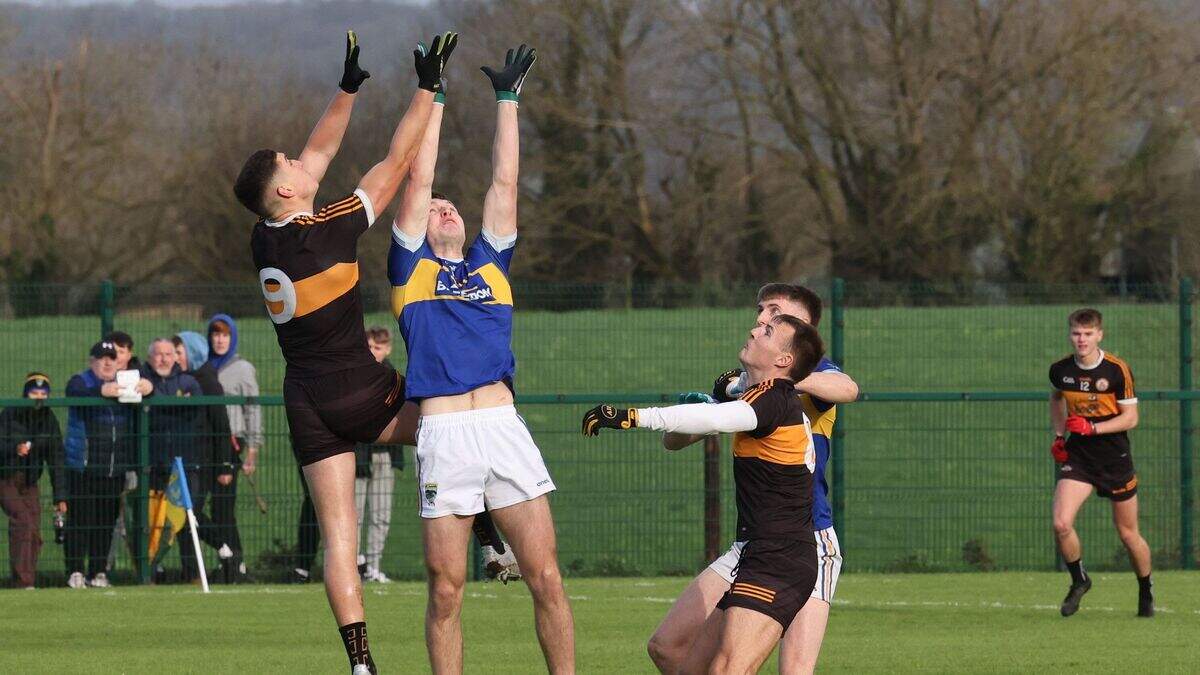 Kerry blue-bloods Austin Stacks made to work for semi-final victory ...