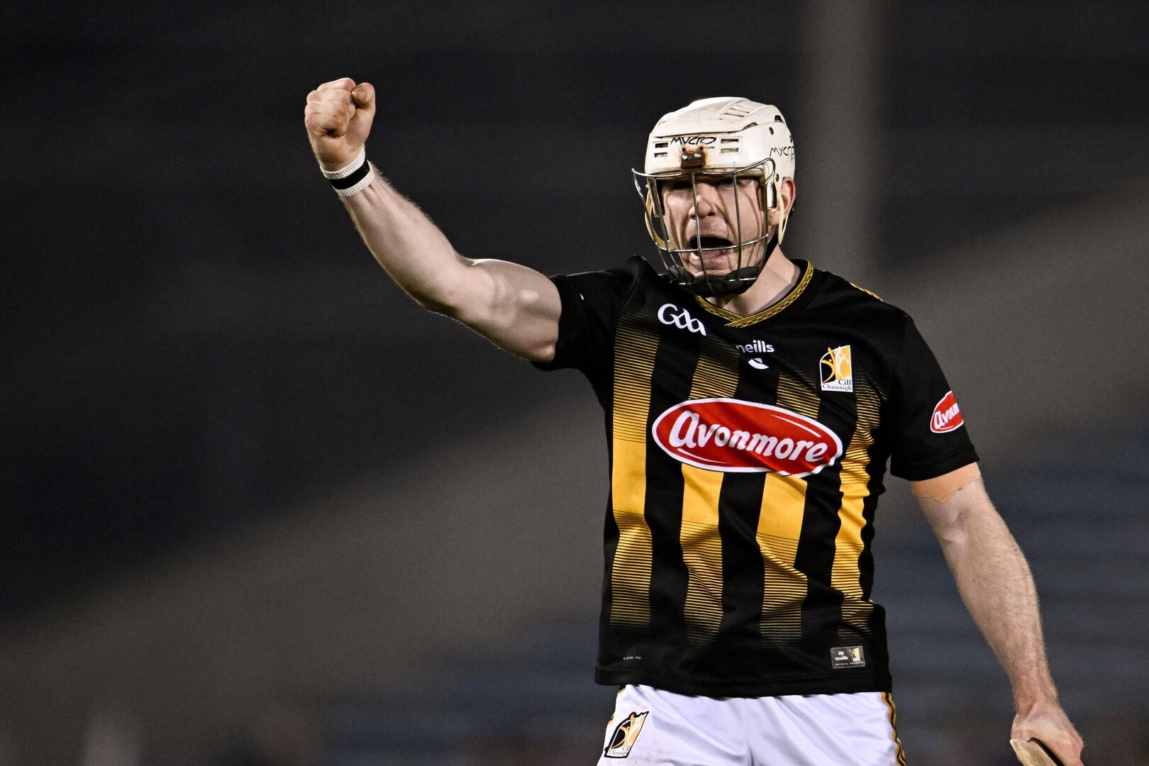 Jordan Molloy's injury-time point sees Tipperary and Kilkenny play out ...