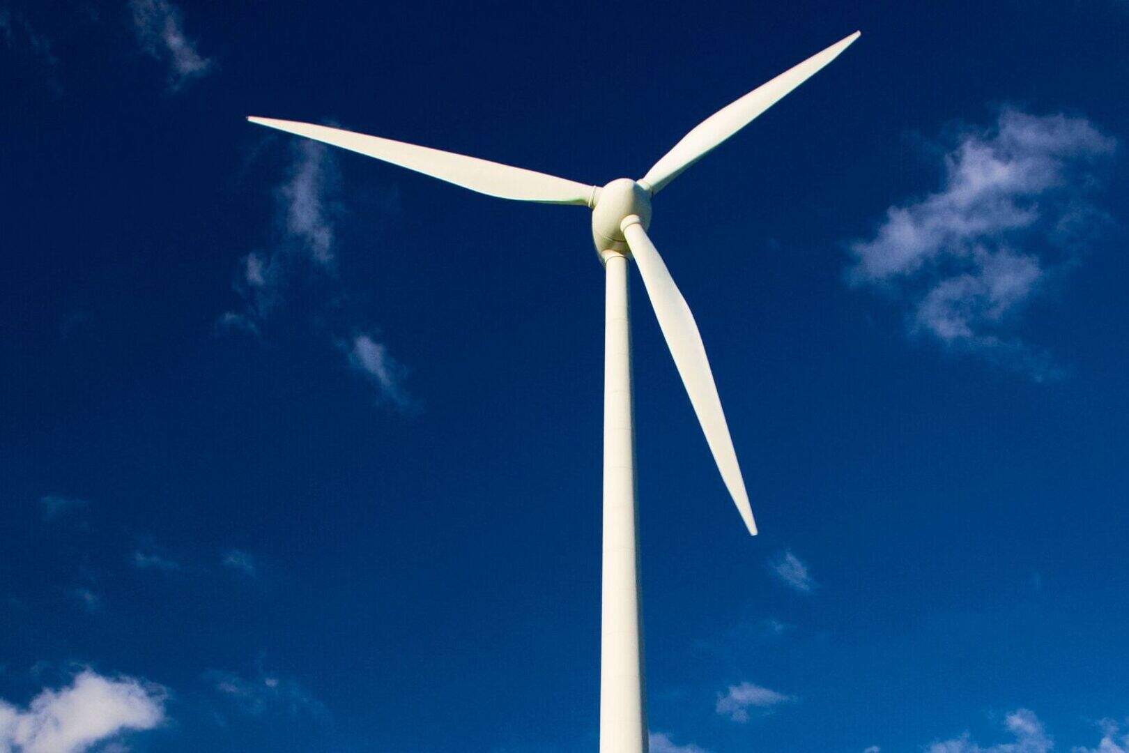 Massive Irish wind farm portfolios up for grabs as institutions seek ...