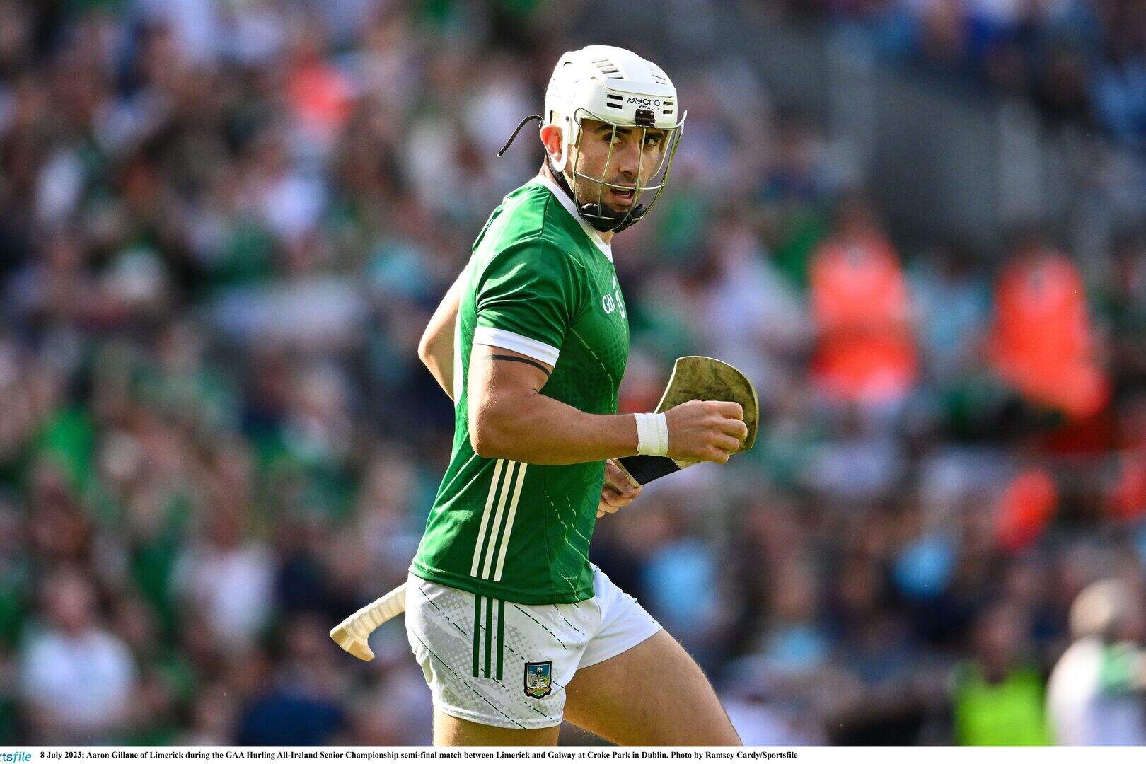 John Mullane: Green machine in line to make it five | Irish Independent