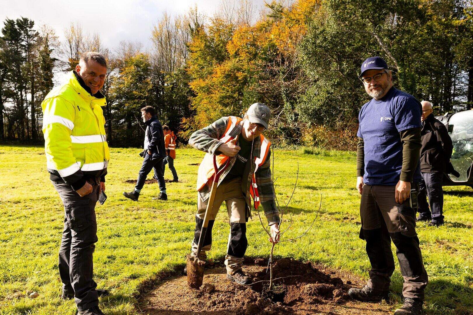 Endangered trees from across Europe planted in Wexford conservation ...