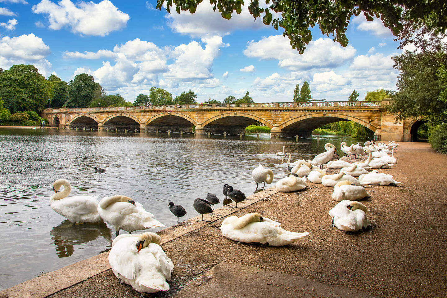 ‘My dad once tried to borrow a duck from St James’s Park’ – Estelle ...
