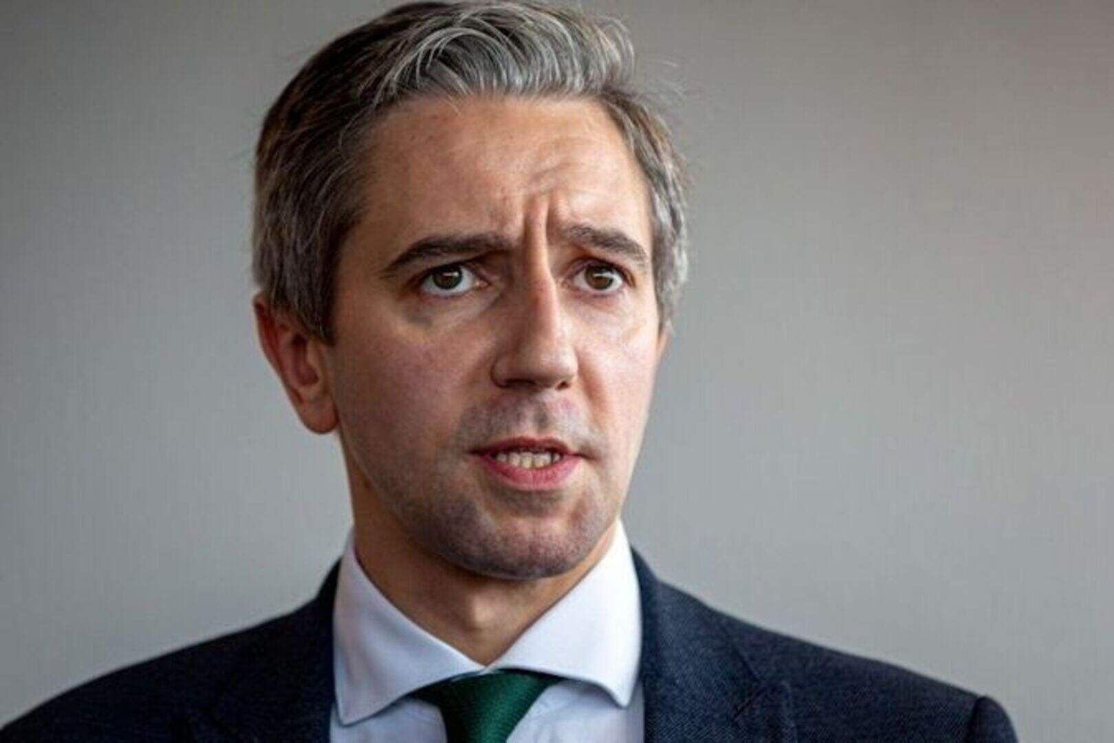 ‘Makes sense’ to review EU tariff list, Simon Harris says | Irish ...