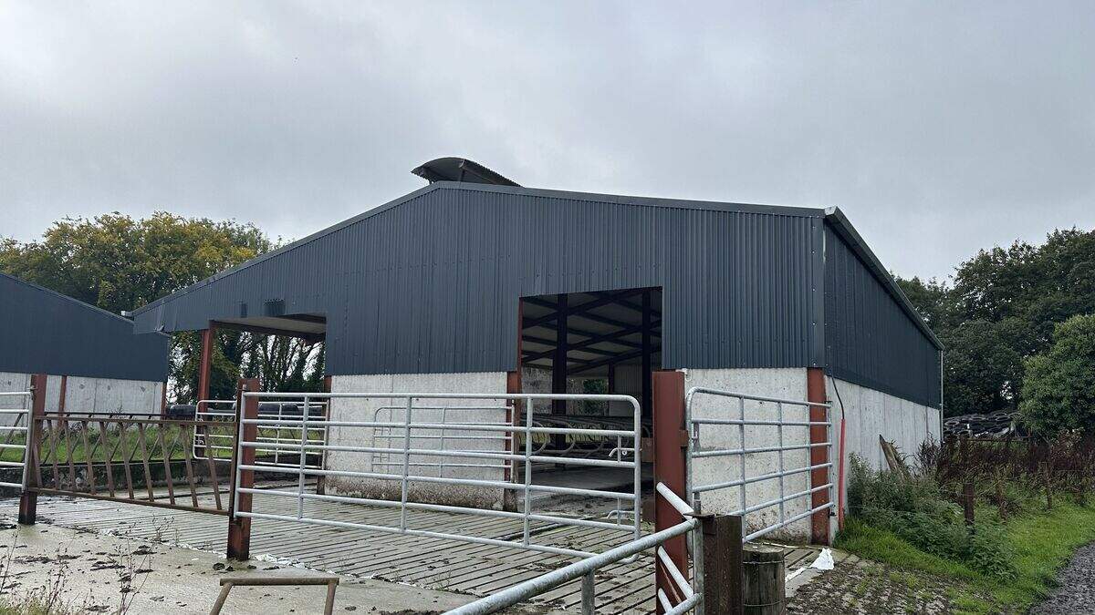 223ac working dairy farm near Athlone for lease at €80,000pa | Irish ...