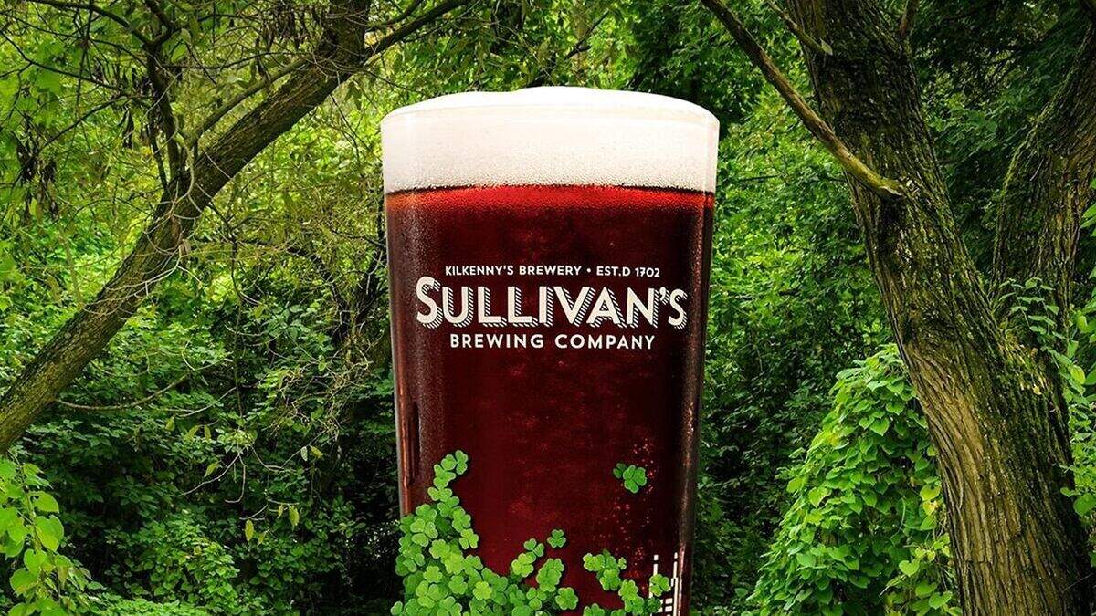 Sullivan's raises $1.26m as it closes its Series A follow on | Irish ...