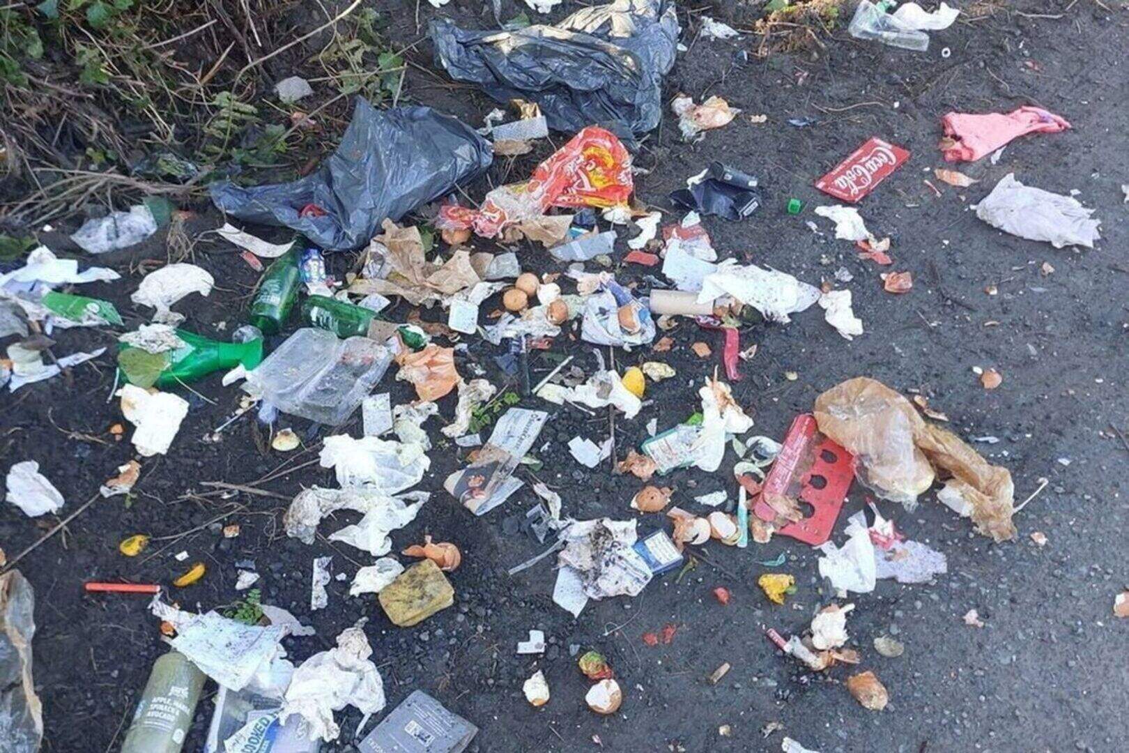 Nearly 300 fly-tipping complaints investigated in County Cork | Irish ...