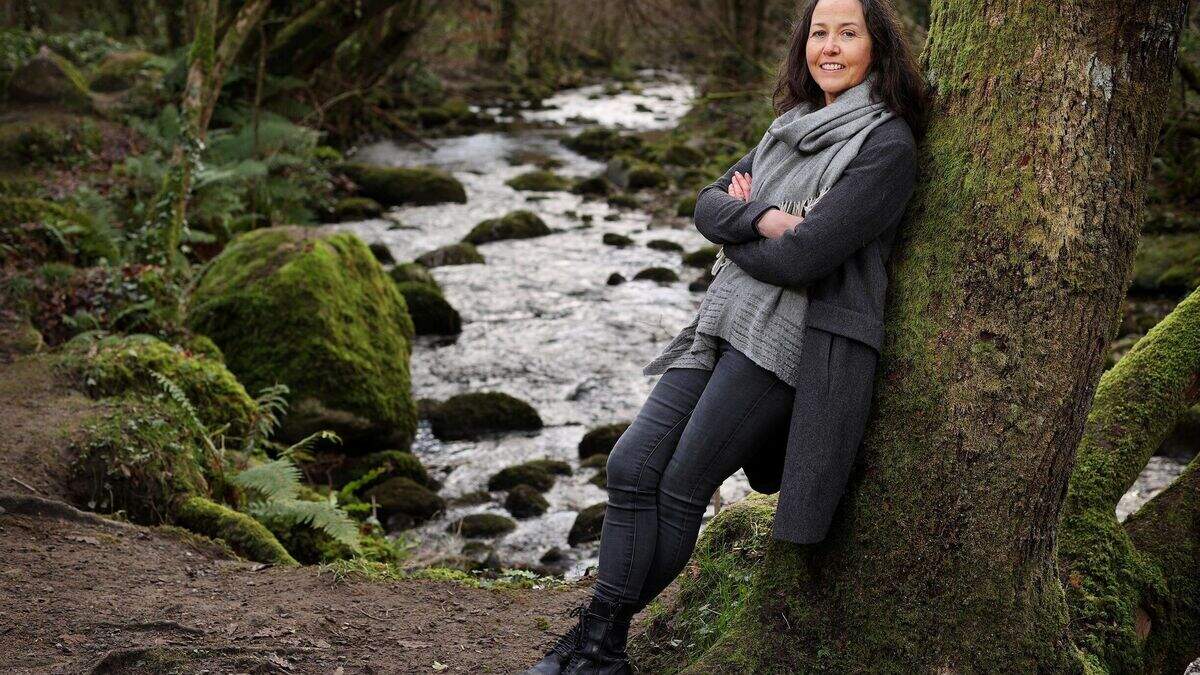 ‘I didn’t set out to write a Brexit novel’ – Audrey Magee on her new ...
