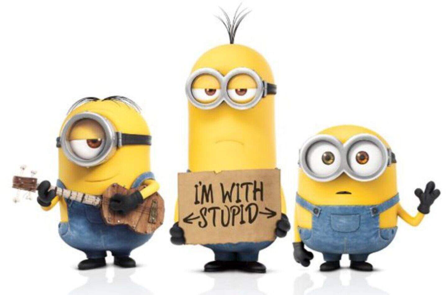 Minions creator explains why there are no lady minions | Irish Independent