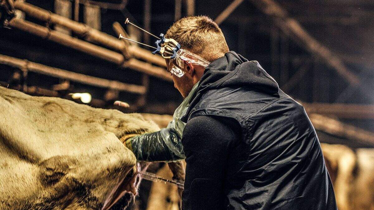 Gerard Sherlock: Why the effort you put in now ahead of breeding will ...