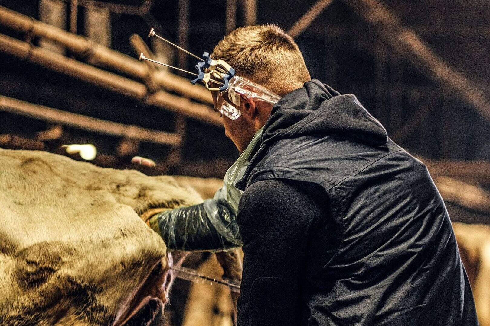 Gerard Sherlock: Why the effort you put in now ahead of breeding will ...
