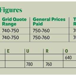 Beef Prices: Factories slash 20c/kg off quotes for bullocks, heifers ...