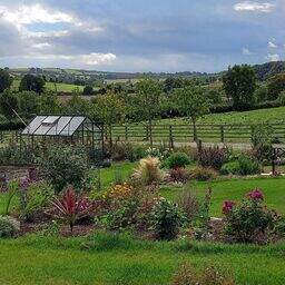 Wicklow’s newest community garden hosting Saturday open day | Irish ...