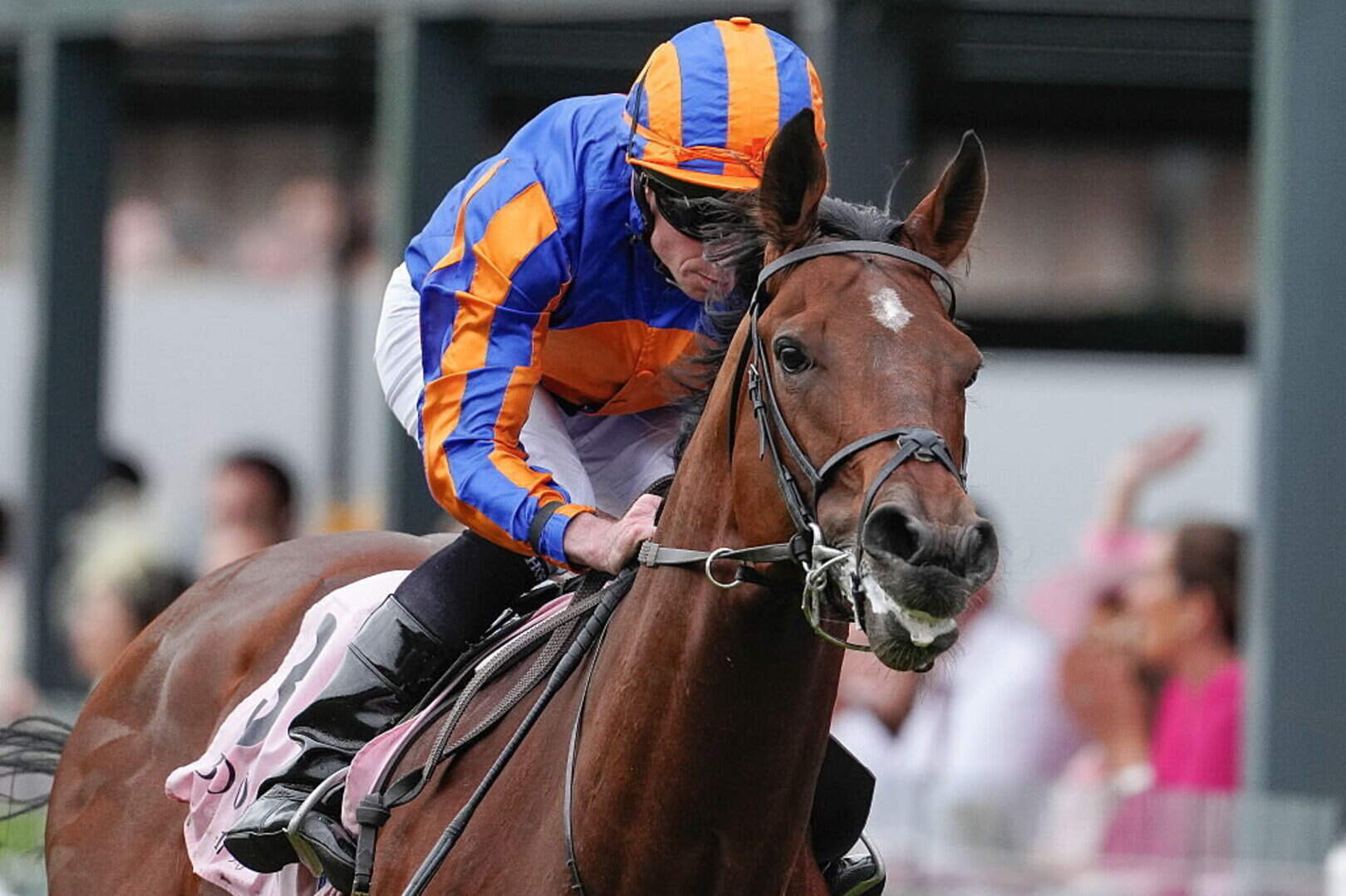 ‘We weren’t sure he’d stay’ — Aidan O’Brien says French rather than ...
