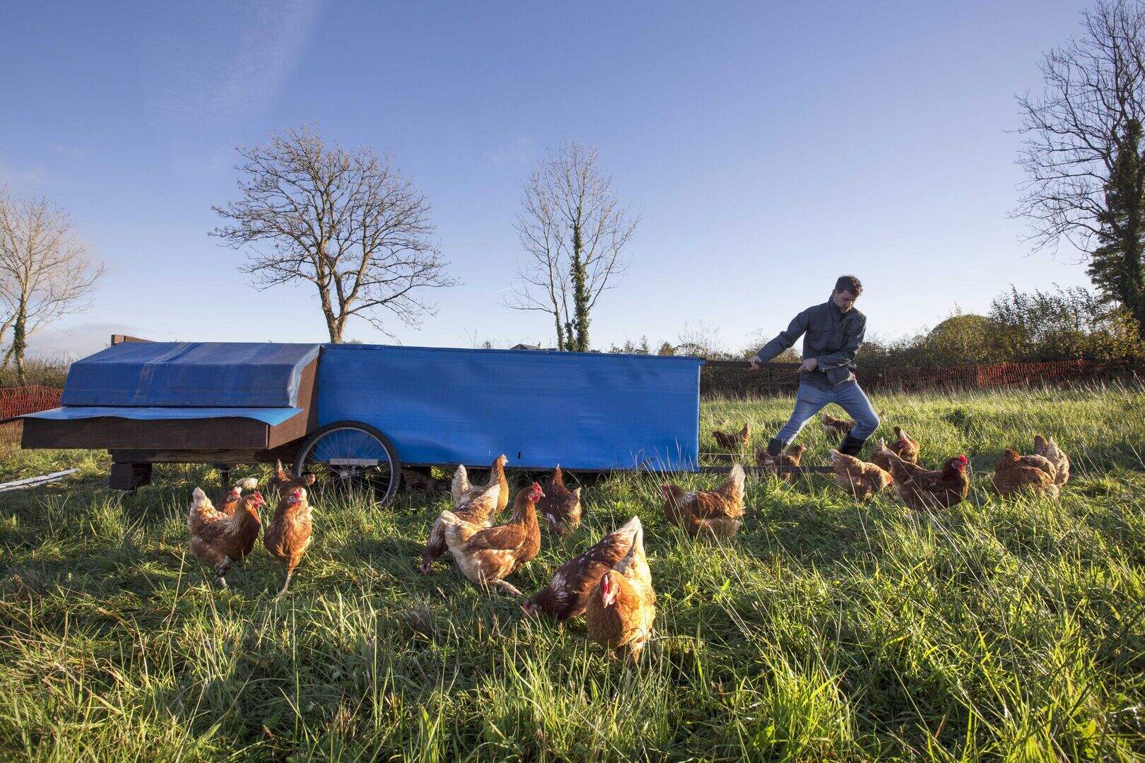 Meet the regenerative farmer who is ‘all about letting the animals live ...