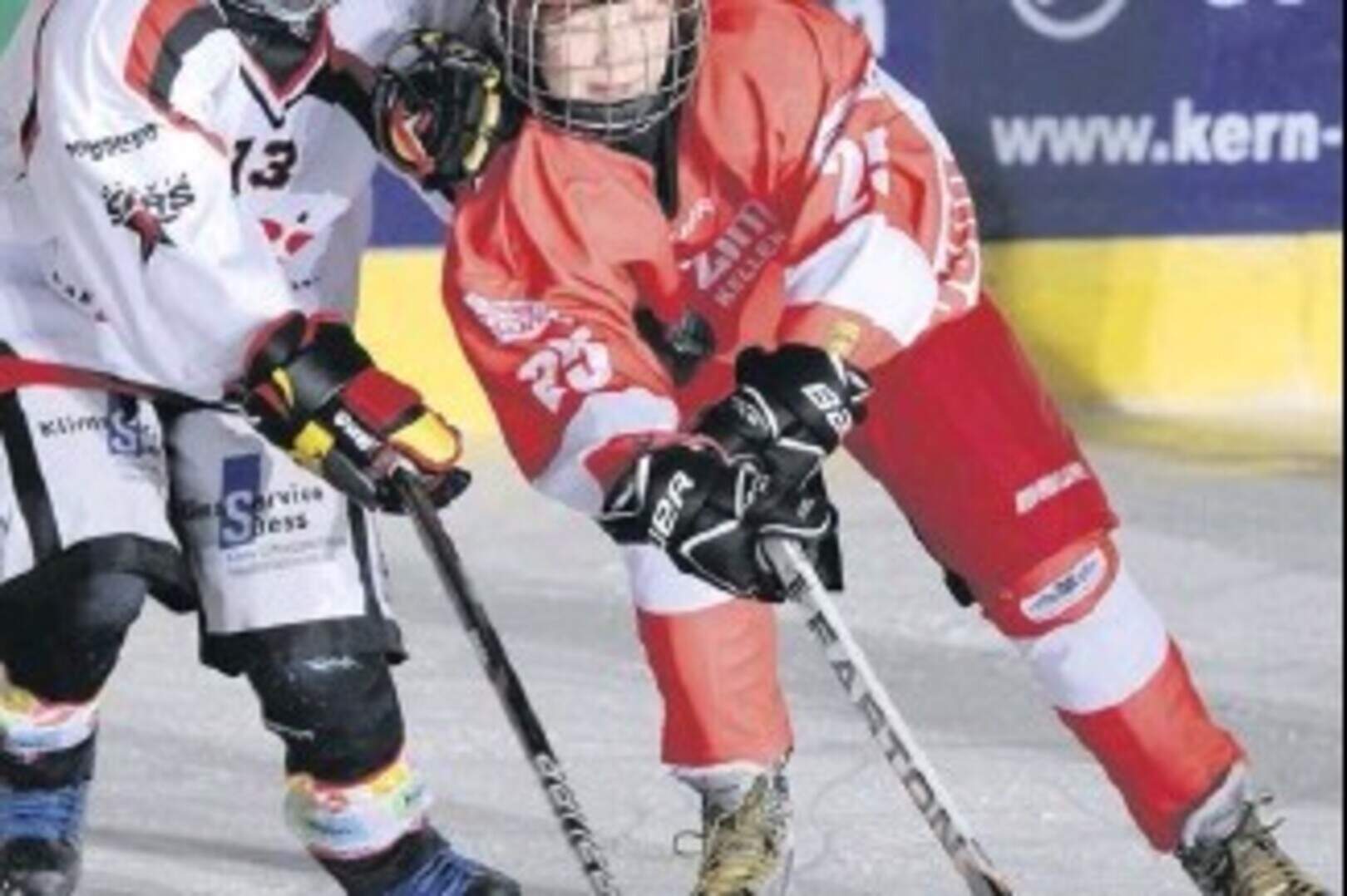 Former Bulls grabbing ice hockey world by the horns | Irish Independent