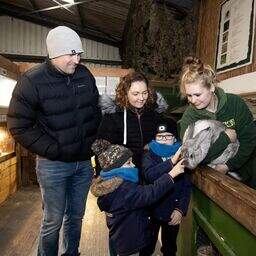 Cost of running Secret Valley park will increase by €55,000 this year ...