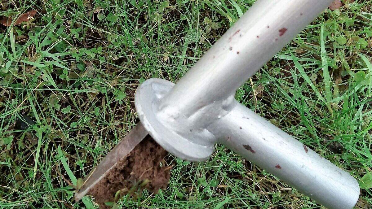 Six tips to keep your soil – and your profits – healthy | Irish Independent