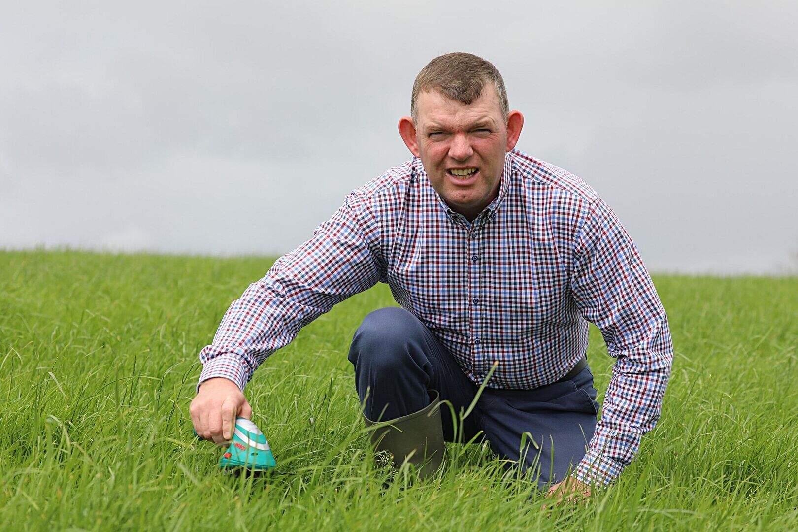 Gerard Sherlock: Silage yields are high but quality is low | Irish ...
