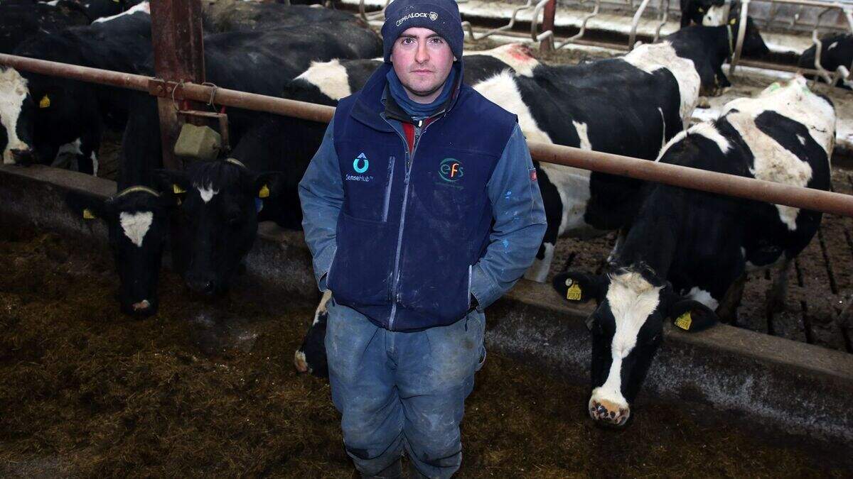 How this Wicklow dairy farmer is helping to tackle the rural-urban ...