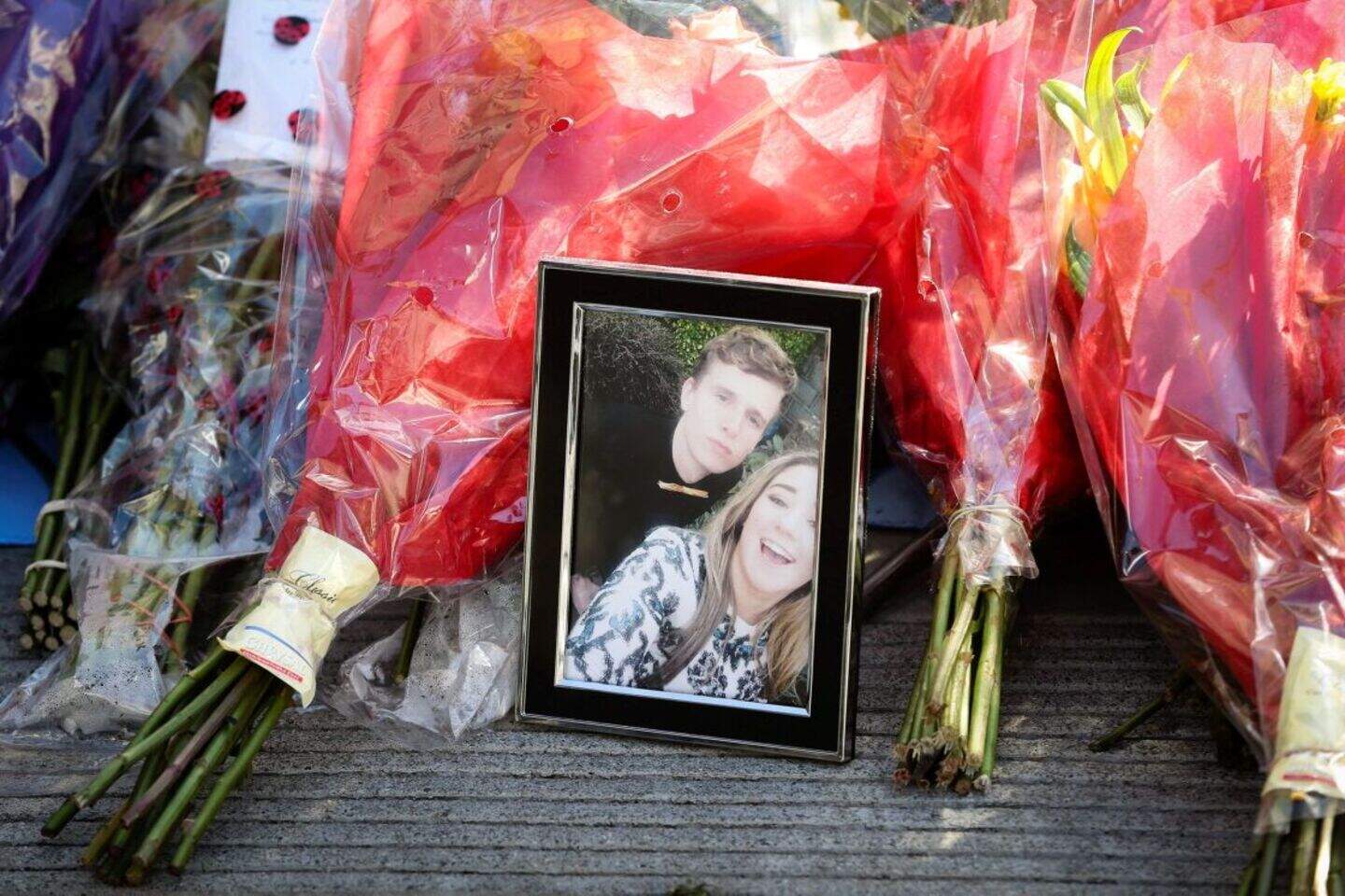 Berkeley tragedy: 'When you look at the papers, don't you see the ...