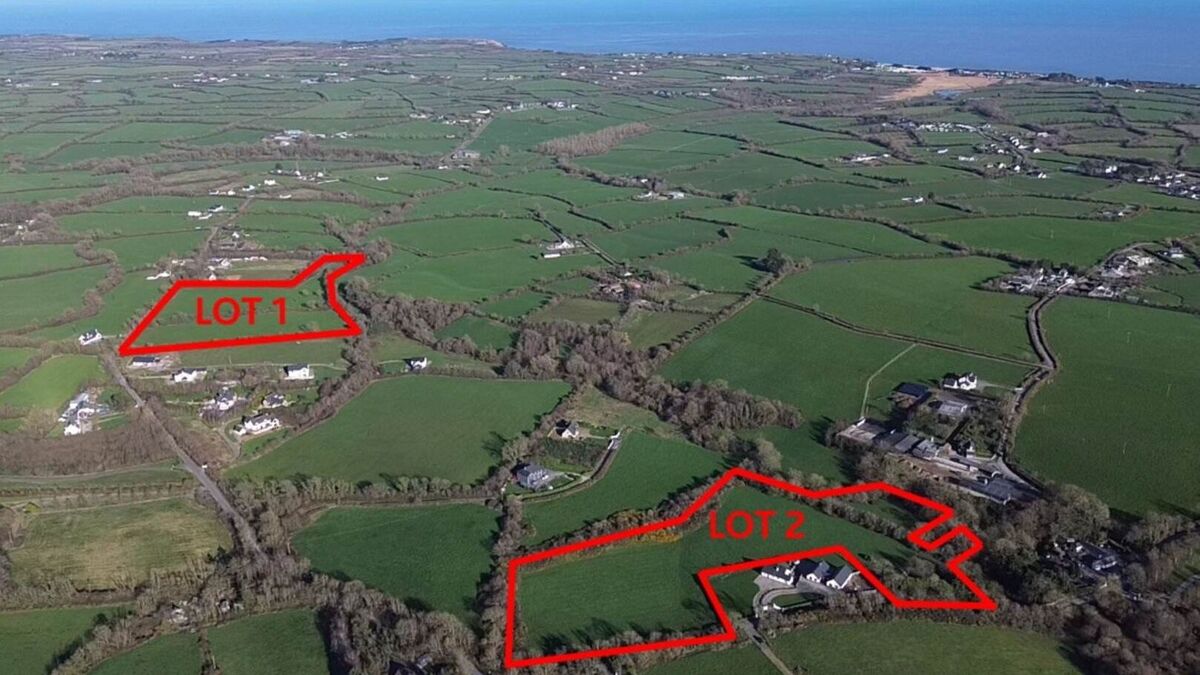 Wexford farmland with a derelict house sells for over €400,000 at ...