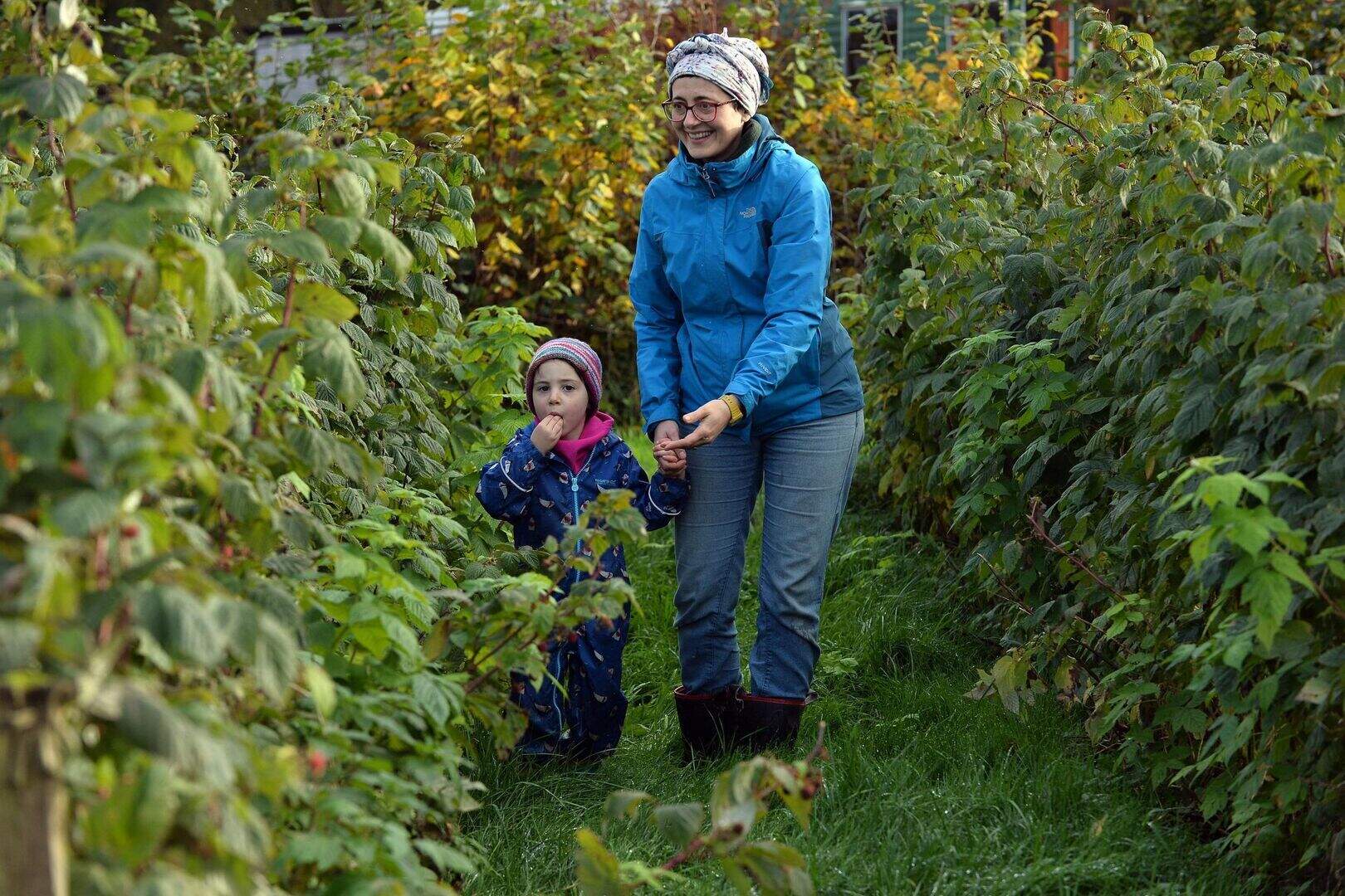“There are no incentives for vegetable farmers or growers in this ...