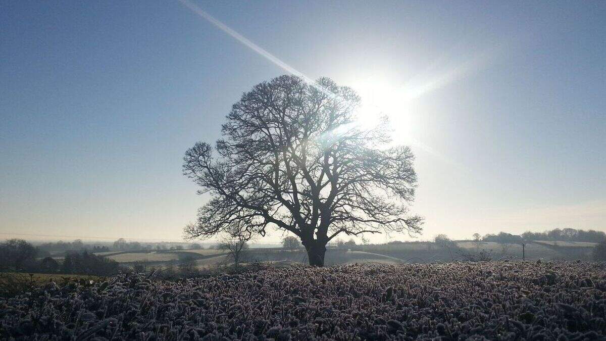 Ireland weather: Cold nights ahead as temperatures fall as low as -3C ...