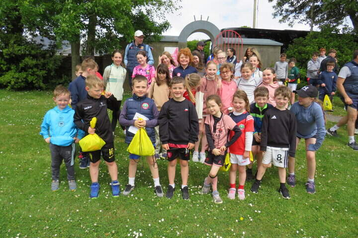 See photos as 240 talkers take on Kerry’s Dingle Way Challenge for St ...