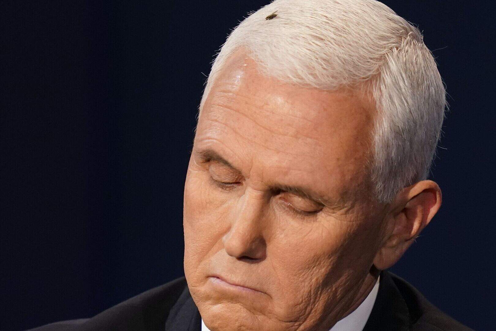Judges, fracking and a fly: Six takeaways from the U.S. Vice ...