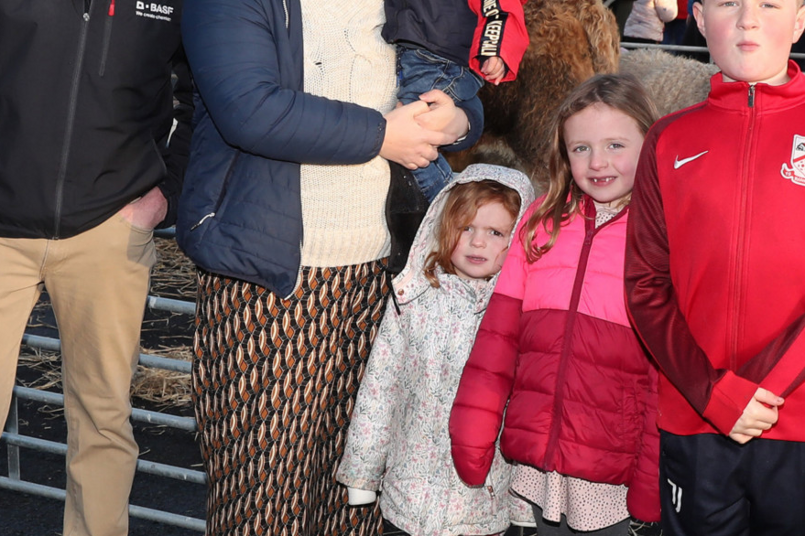 Termonfeckin Credit Union becomes unique animal Christmas scene | Irish ...