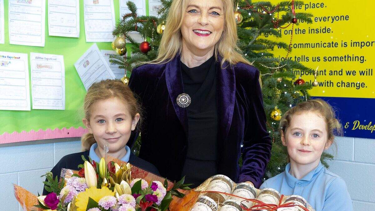 European culture and creativity take centre stage at Wexford primary ...
