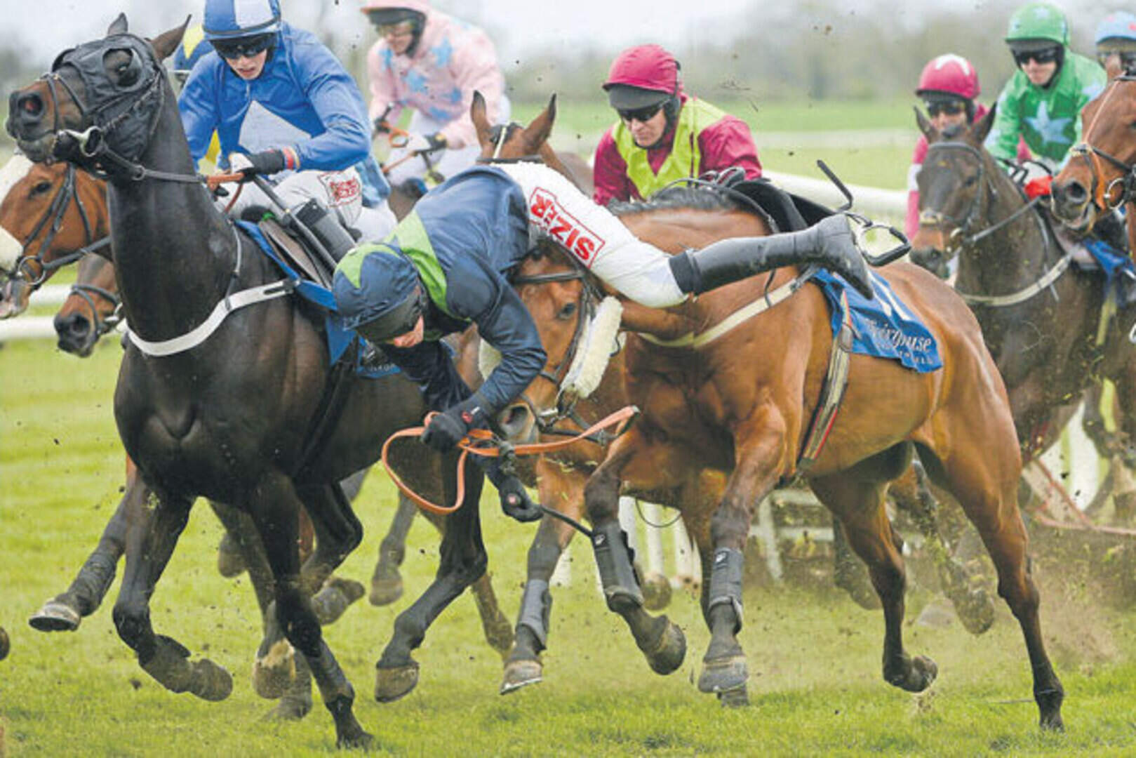 Unexposed Out Now to taste glory in National | Irish Independent
