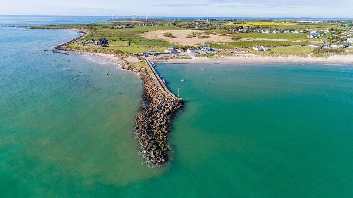 Co Wexford’s history and geography to be highlighted during walking ...