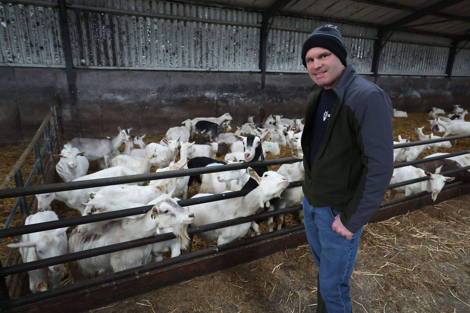 Why this Meath dairy farmer switched to milking goats | Irish Independent