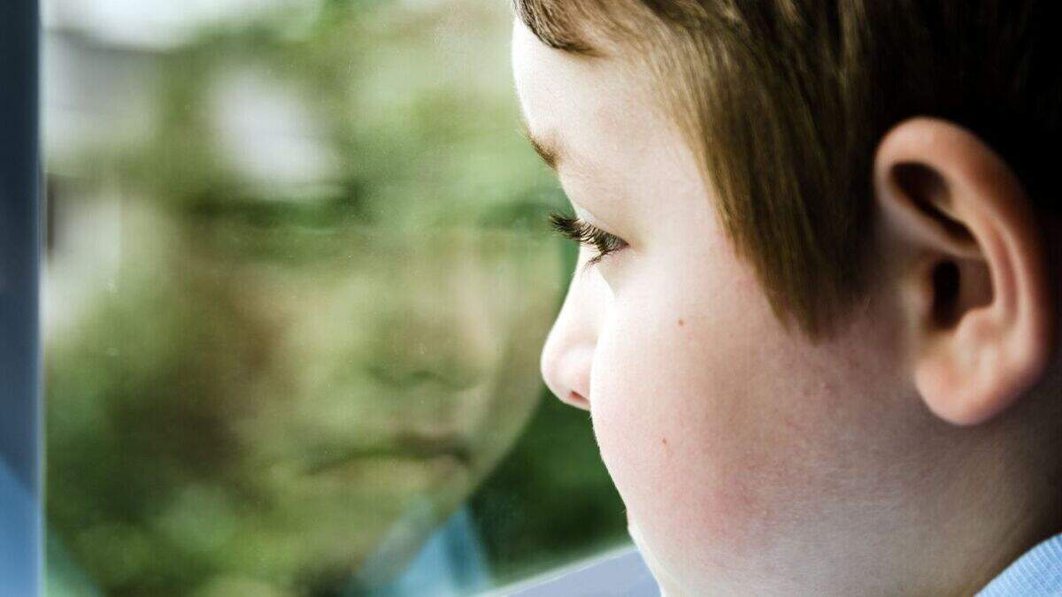 Autism diagnoses on rise as special needs education costs soar | Irish ...