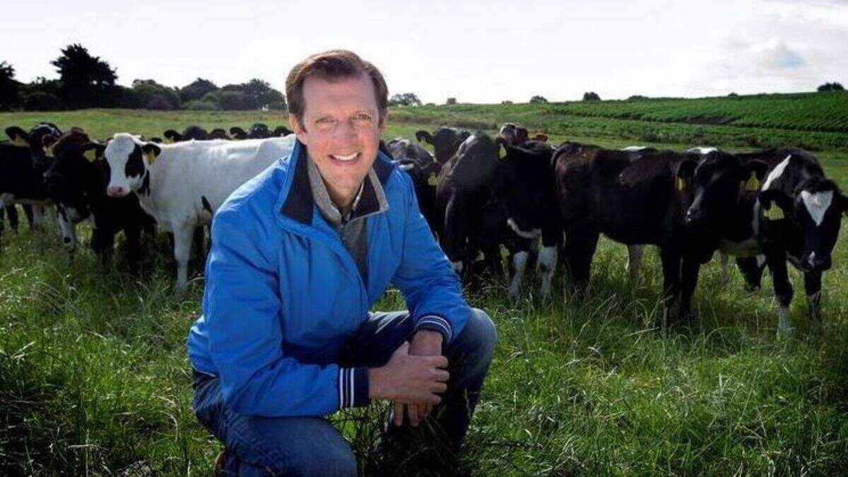 Darragh McCullough: Solar farms are being built all over the country ...