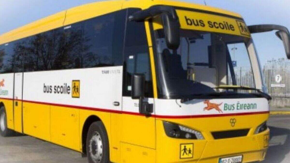 Cork TD Seán Sherlock calls for school bus solution before Budget ...