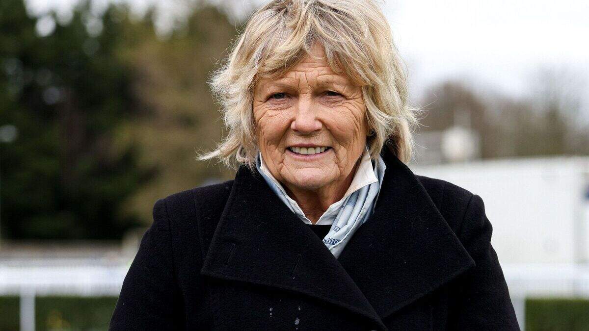 Michael Verney: Jessica Harrington’s Green Impact might just save ...