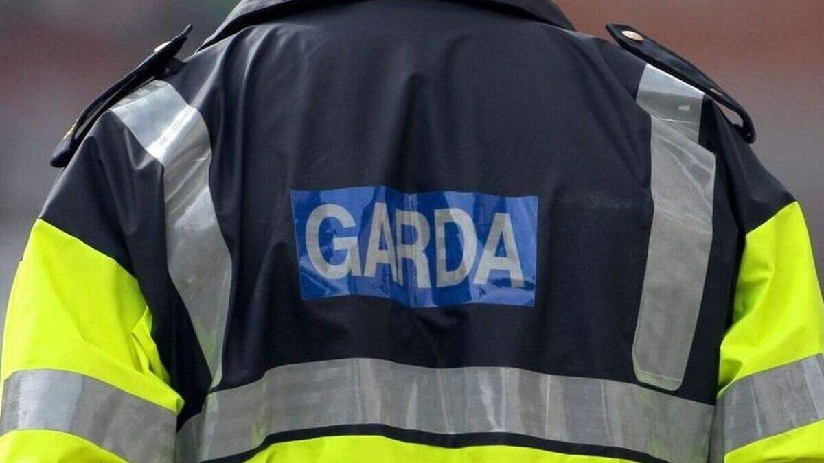 Man (60s) dies in workplace accident in Tipperary | Irish Independent