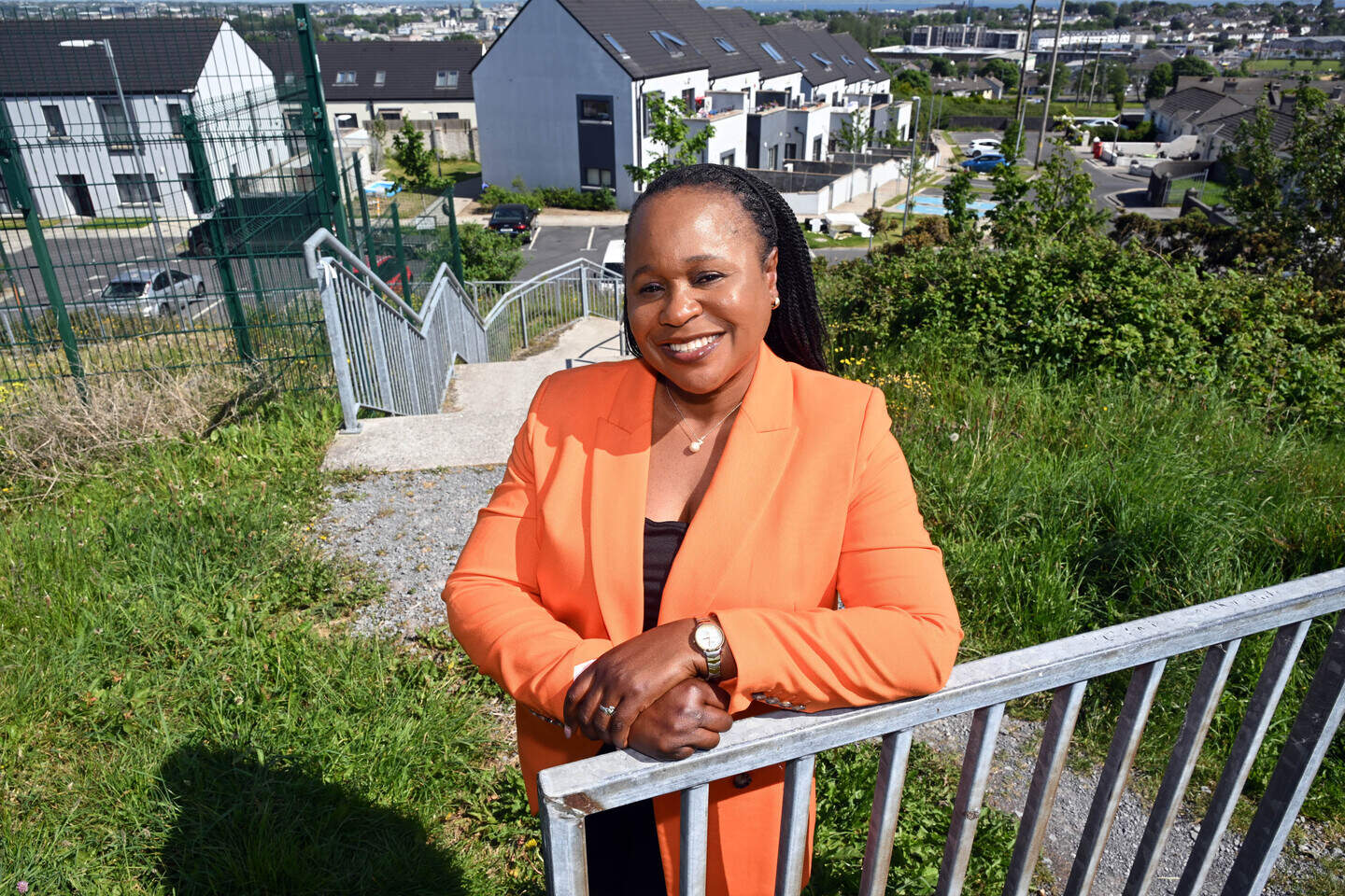 Shane Ross: Left-wing voters are not fooled by Sinn Féin’s claims to be ...